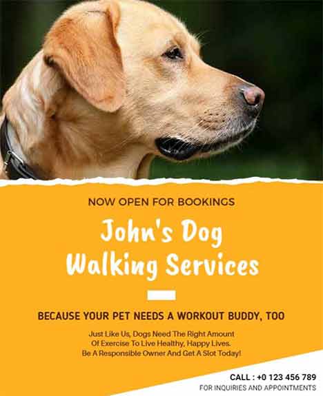 Dog Walker Flyer Templates – Free | Editable | Printable